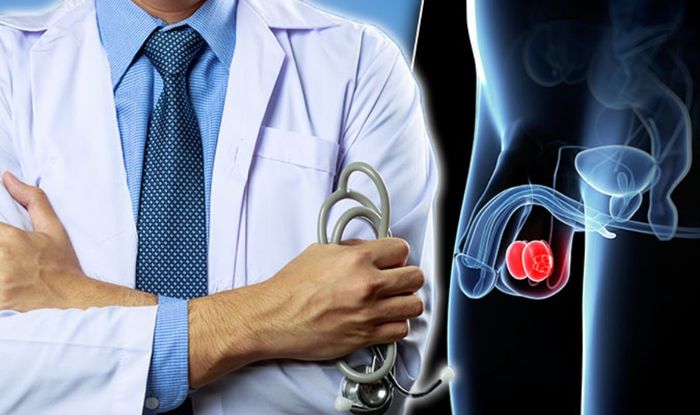 Testicular Cancer Lump Size Grain Of Sand - CancerWalls